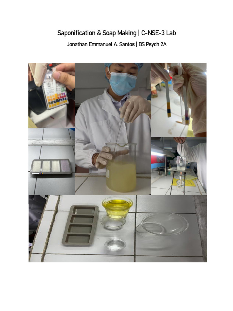 Soap Making & Saponification | PDF