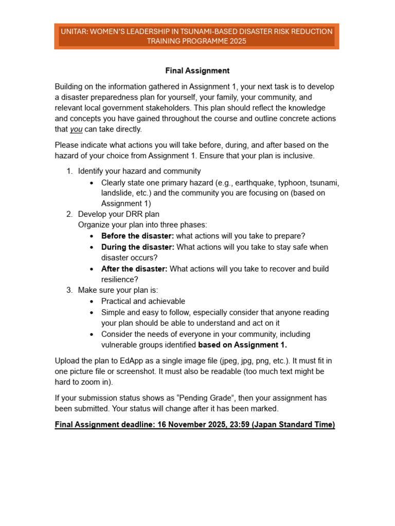 Final Assignment Instructions - DRR 2025 | PDF