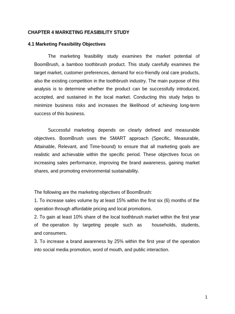 Chapter 4 Marketing Feasibility Study | PDF | Oral Hygiene | Toothbrush