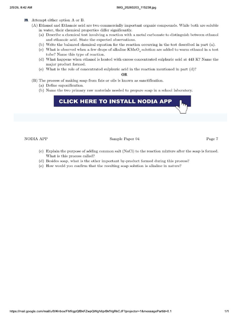 Ethol | PDF