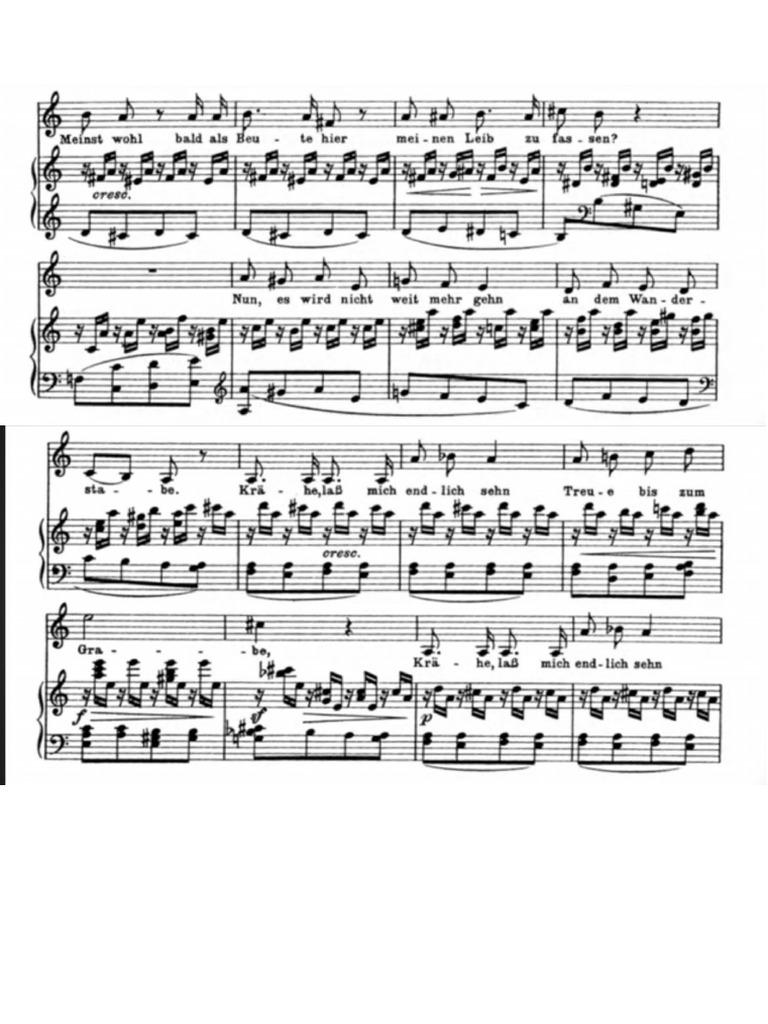 Dokument 1 | PDF