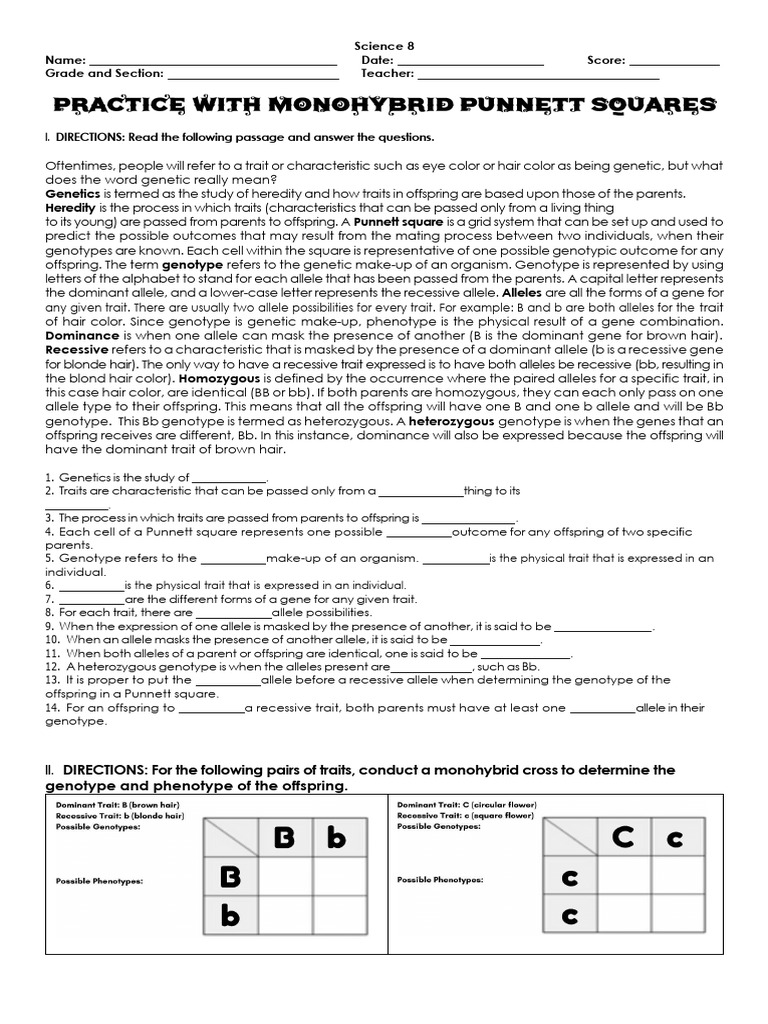 Monohybrid Cross Activity | PDF | Genotype | Dominance (Genetics)