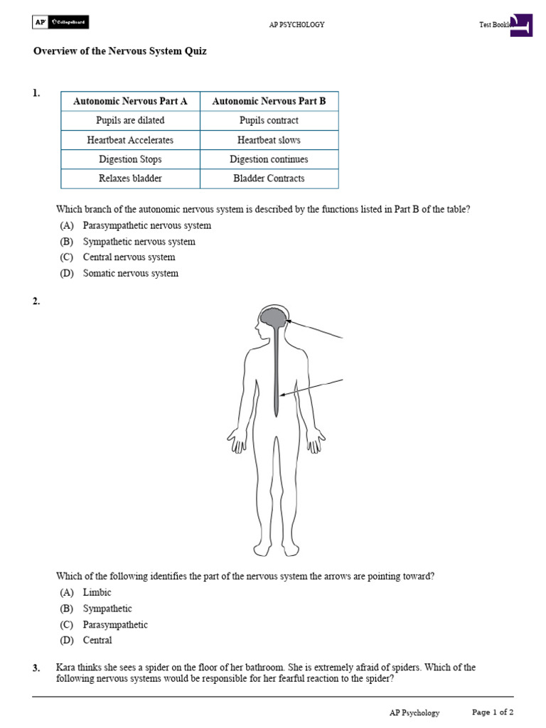 Overview of The Nervous System Quiz | PDF | Autonomic Nervous System ...