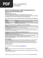 CAP Protocol for Neuroendocrine Tumors | PDF | Pancreas | Metastasis