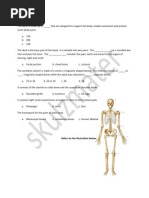 Skeletal System Exam Questions | PDF | Skeleton | Bone