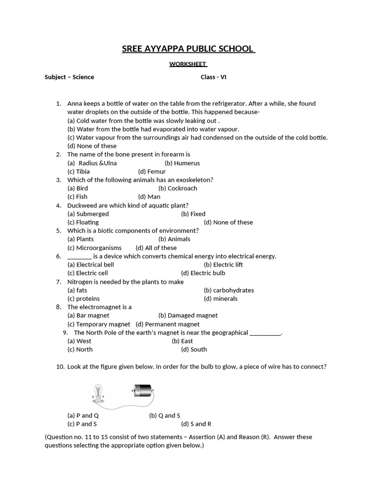 Worksheet of Science, Class 6 | PDF | Electrical Wiring | Electromagnetism