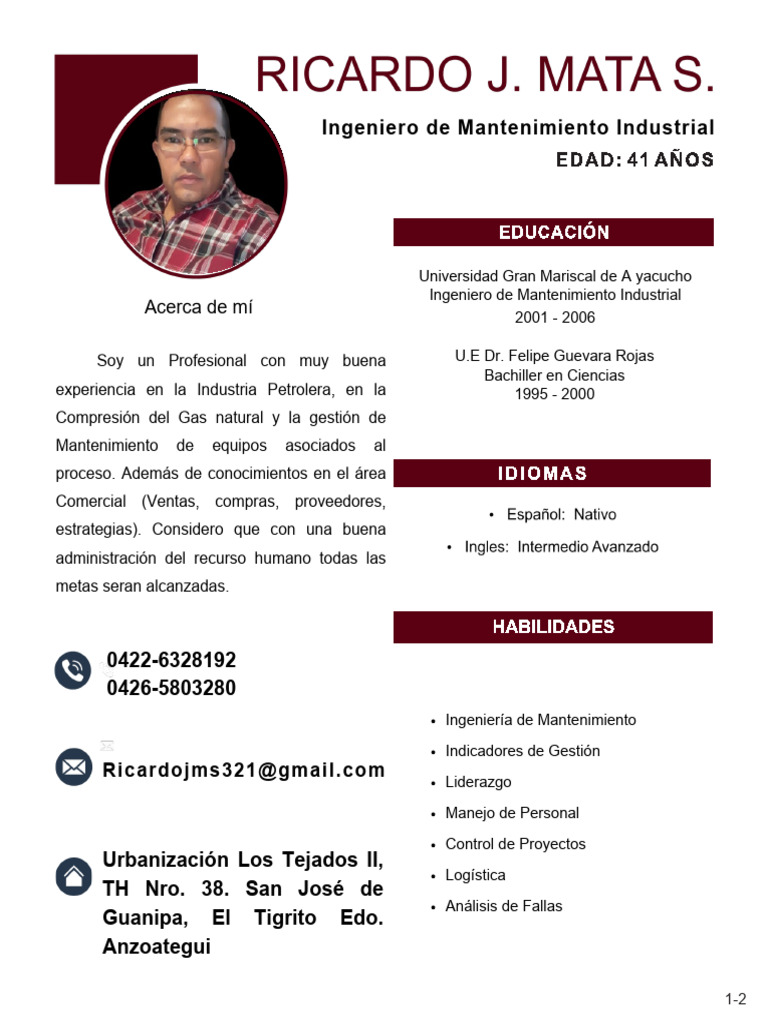 CV Ricardo Mata | PDF | Logística | Economias