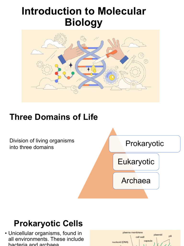 Lecture 1 - Intro To Molecular Biology 2026 | PDF | Macromolecules ...