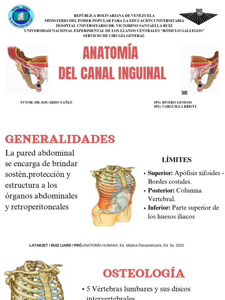 ANATOMÍA DEL CONDUCTO INGUINAL - 4to AÑO - 2025.pdf - PDF - 20250611 ...
