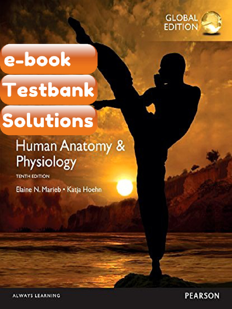 Testbank Human Anatomy Physiology Global Edition 10th Edition Fast ...