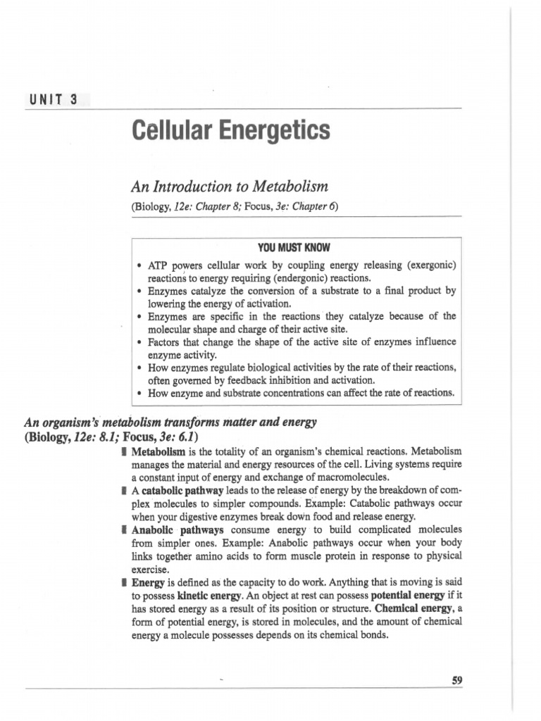 Unit 3 Cellular Energetics Reading | PDF