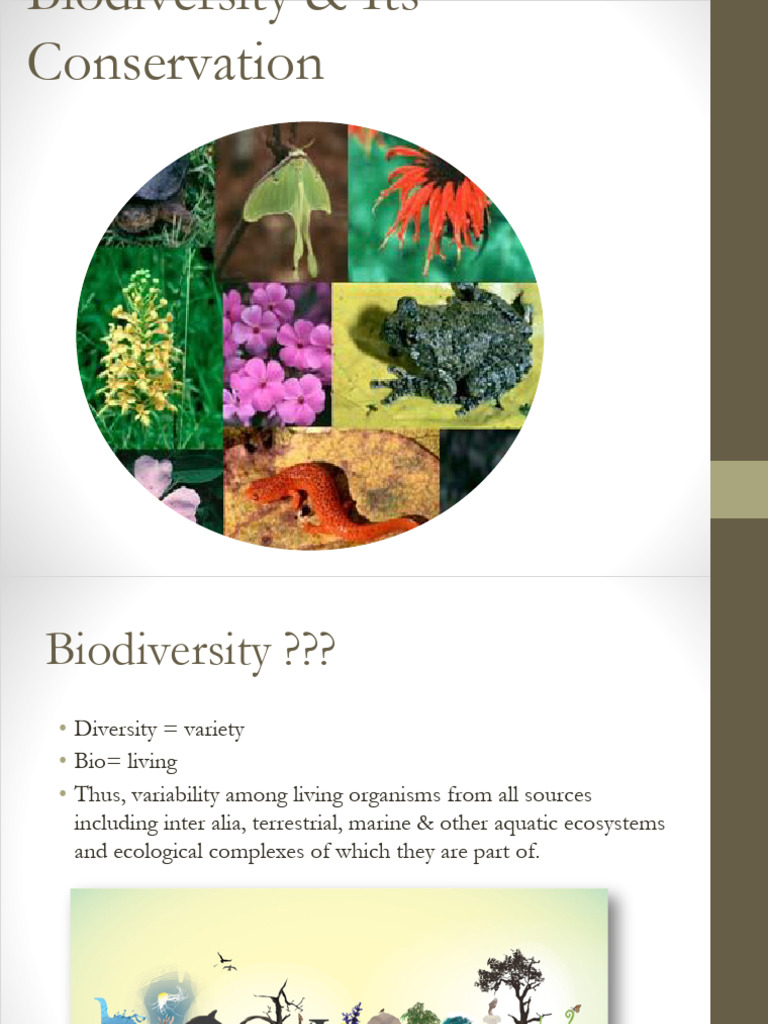Biodiversity and Conservation | PDF | Endangered Species | Biodiversity