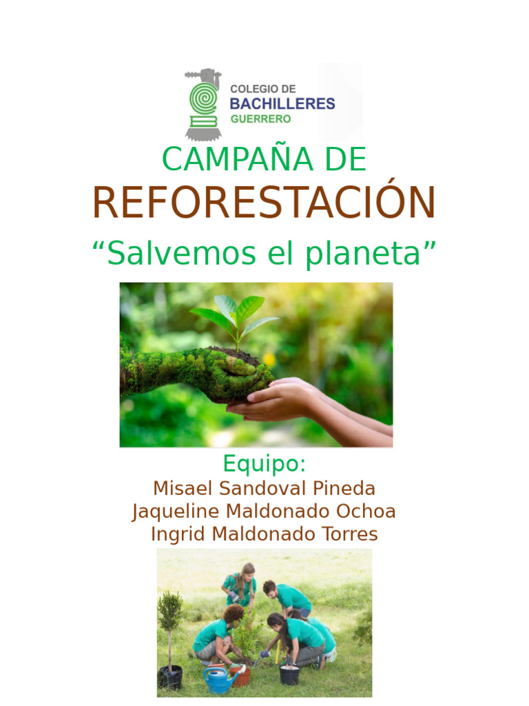 Campaña de Reforestación Ingrid | PDF | Entorno natural | Deforestación