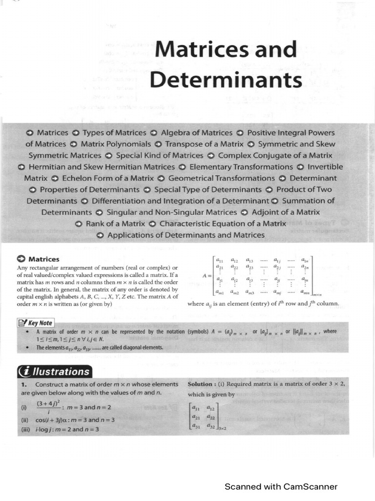 Matrices and Determinants Revision Theor | PDF