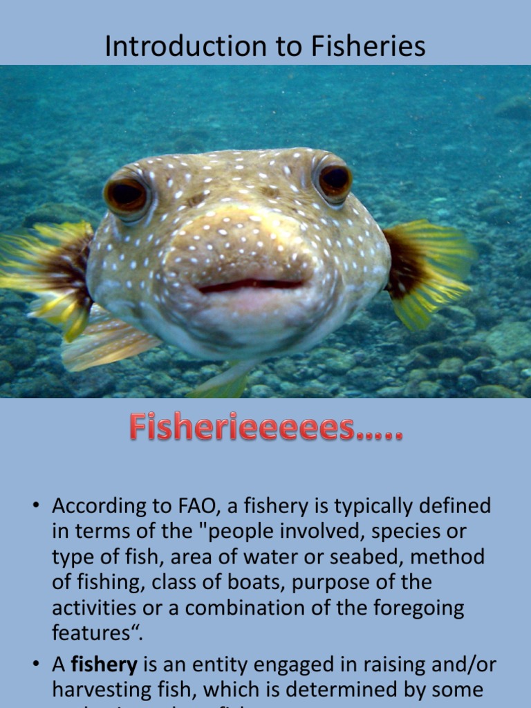 Introduction To Fisheries | PDF | Fishery | Fish