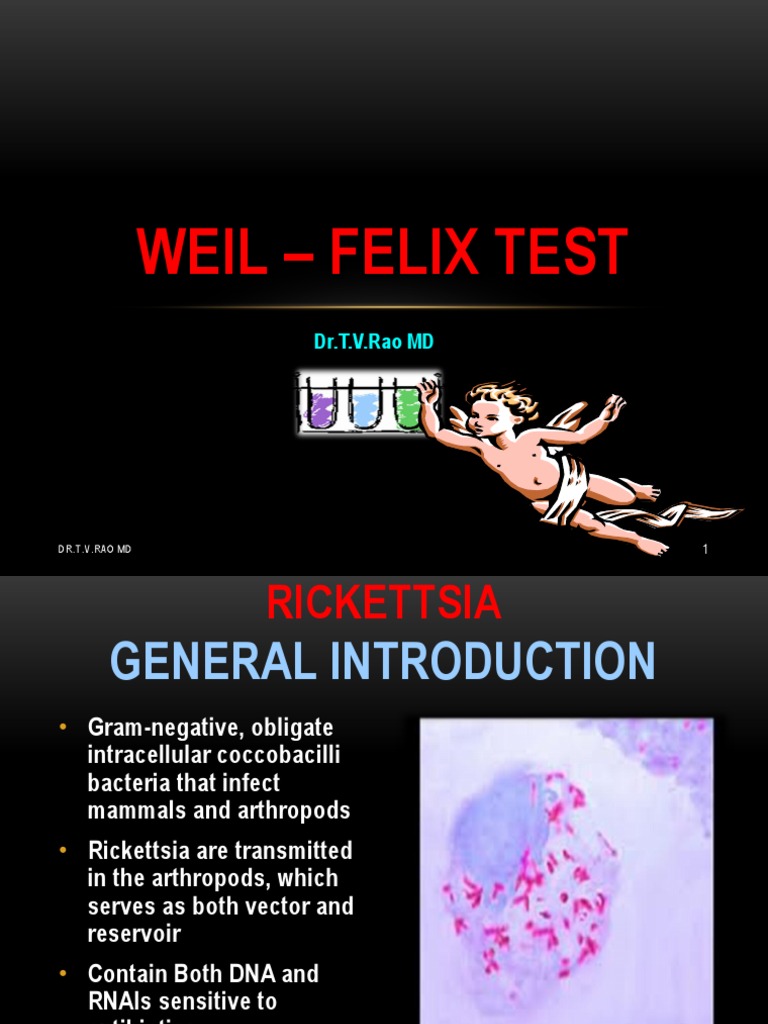 Weil-Felix Test for Rickettsial Diagnosis | PDF | Immunology | Medical ...
