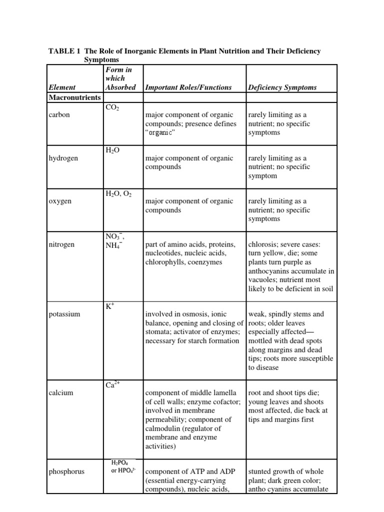 Essential Elements | PDF | Plant Nutrition | Atoms