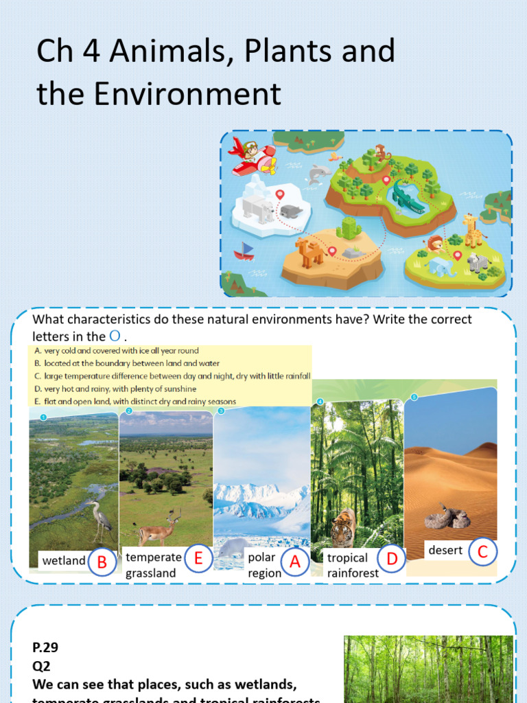 CH 4 | PDF | Plants | Rainforest