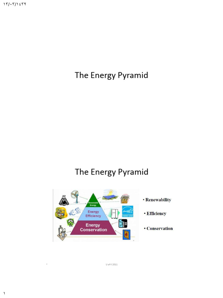Ch1c the Energy Pyramid | PDF