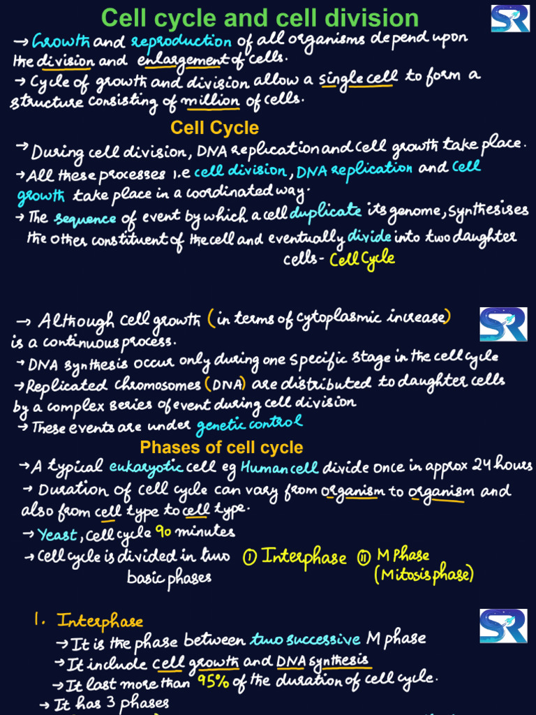 10.Cell Cycle | PDF