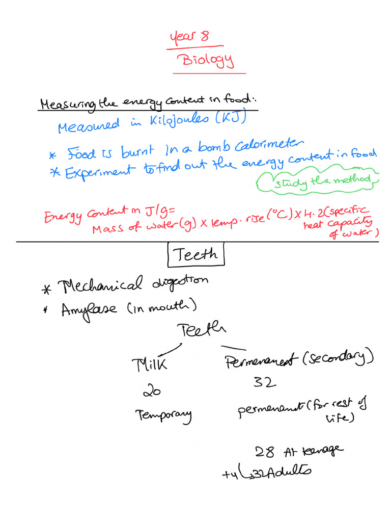 Tooth Decay - Energy in Food | PDF
