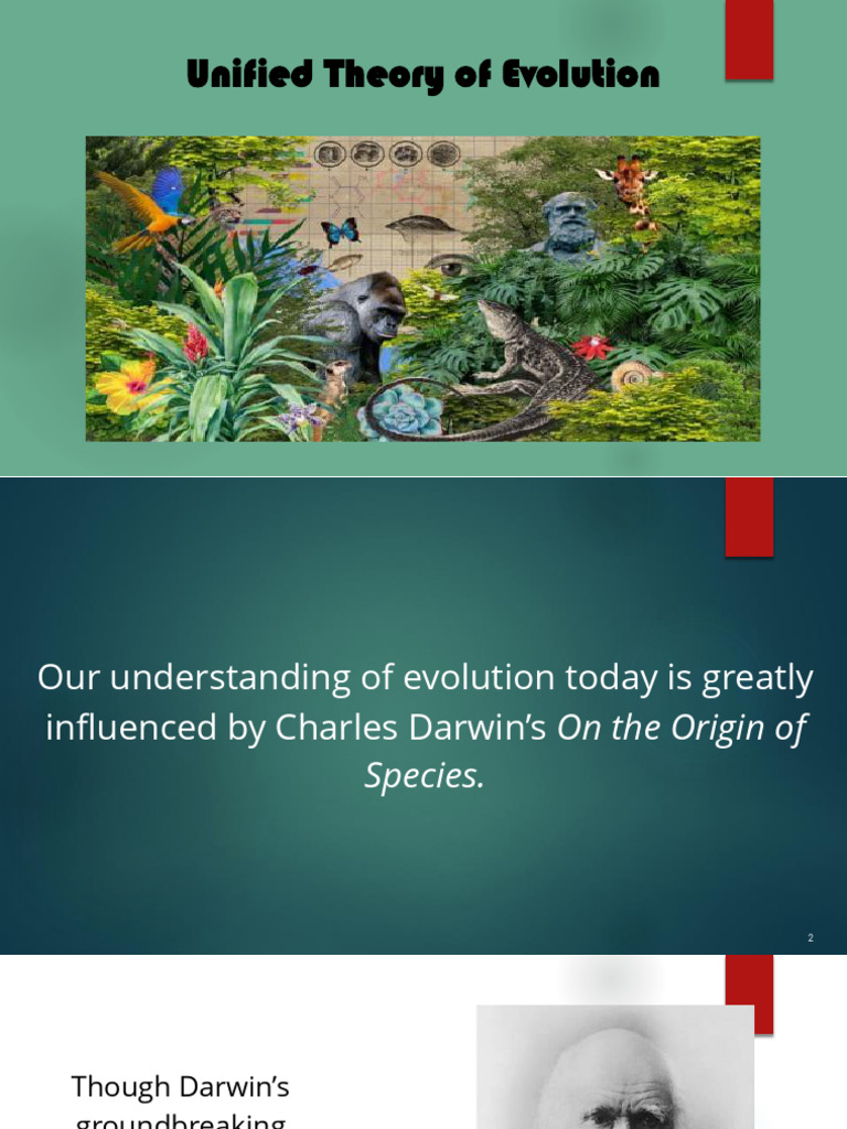 Lesson 5 Unified Theory of Evolution | PDF | Evolution | Natural Selection