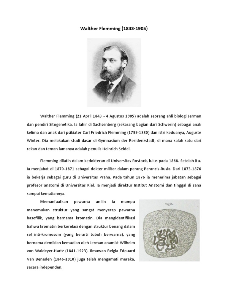 Walther Flemming | PDF