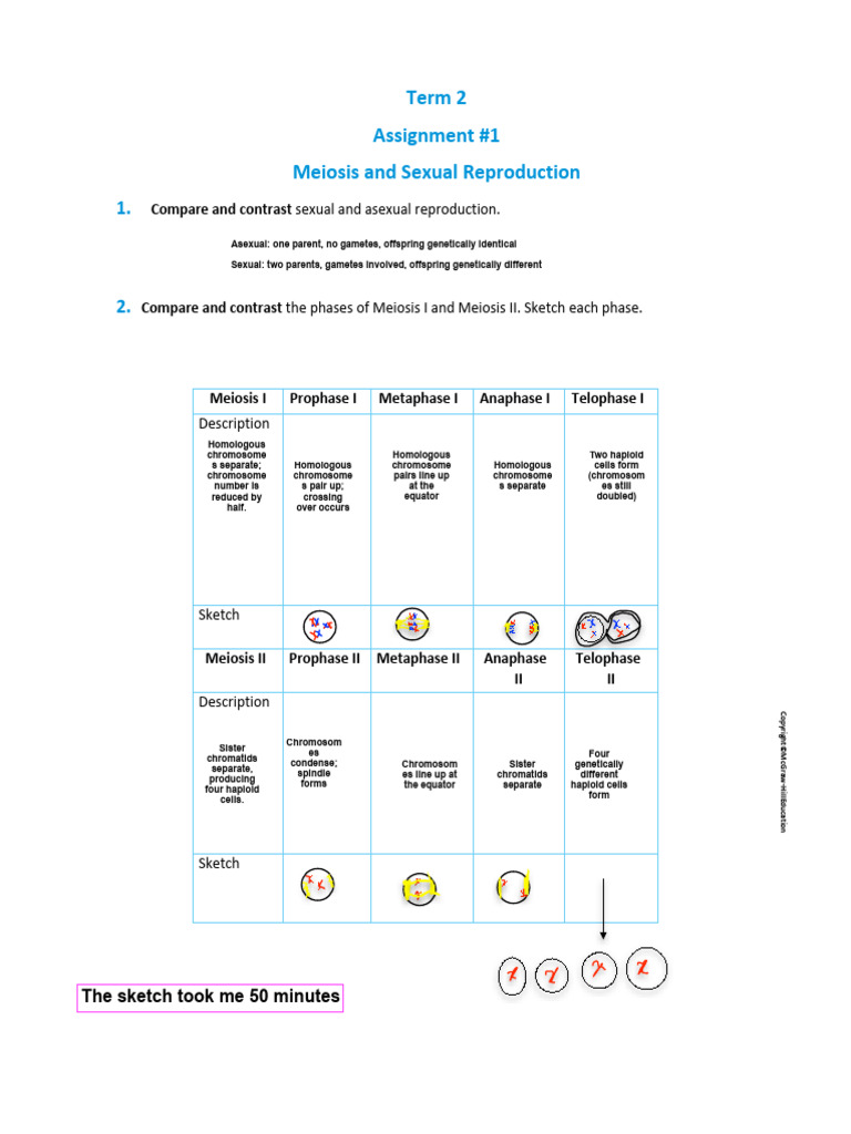 9.2 Meiosis and Sexual Reproduction | PDF | Meiosis | Chromosome