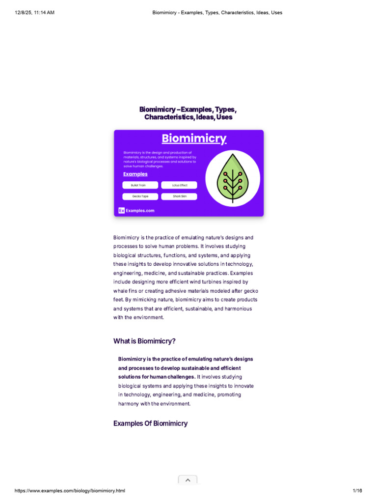 Biomimicry - Examples, Types, Characteristics, Ideas, Uses | PDF ...