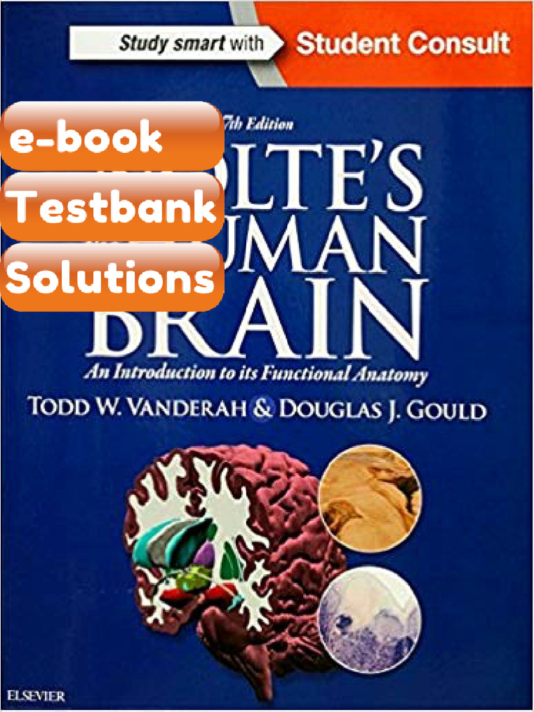 eBook & Testbank Nolte s the Human Brain 7th Edition by Todd Vanderah ...