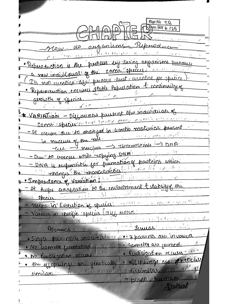 Handwritten Notes of Science | PDF
