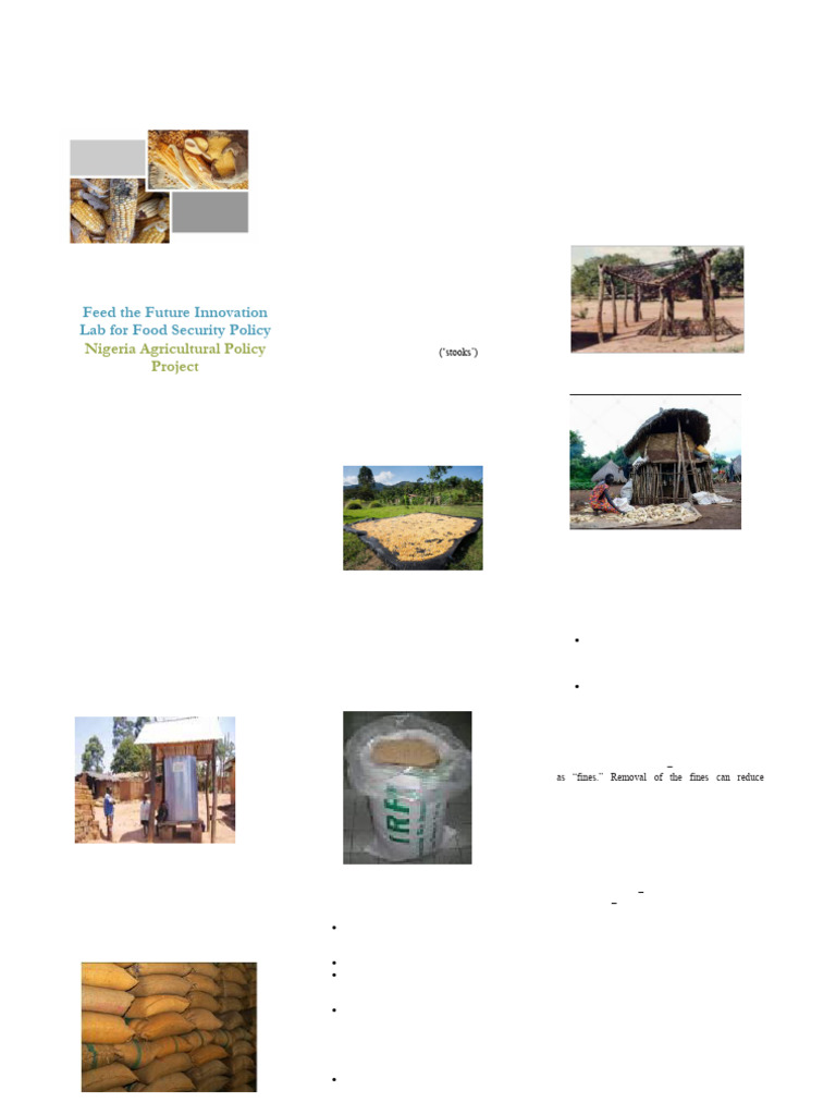Manual+for+Maize+Handling+and+Storage Final | PDF | Maize | Agriculture
