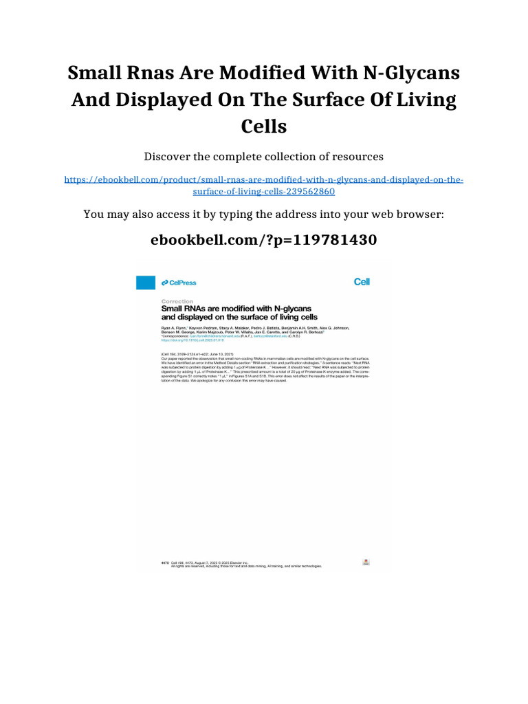Small RNAs are modified with N-glycans and displayed on the surface of ...
