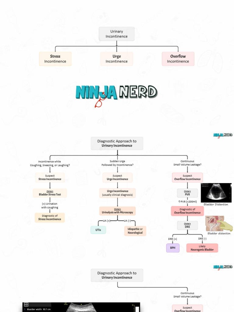 1 - Urinary Incontinence (Slides) | PDF | Urinary Incontinence ...