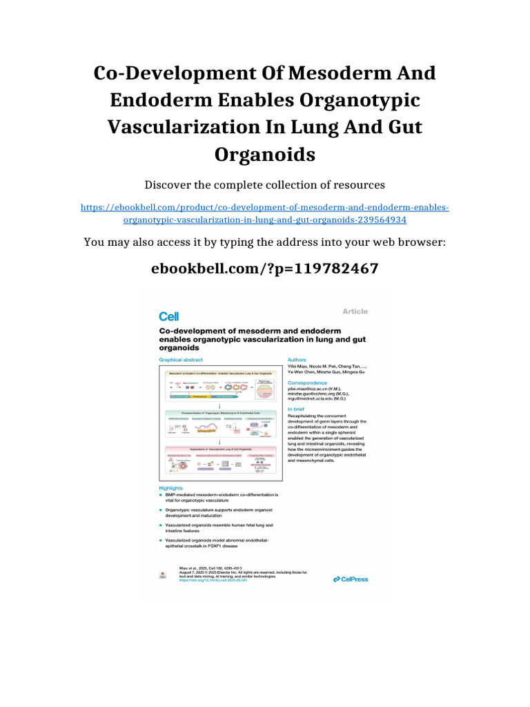 Co-development of mesoderm and endoderm enables organotypic ...