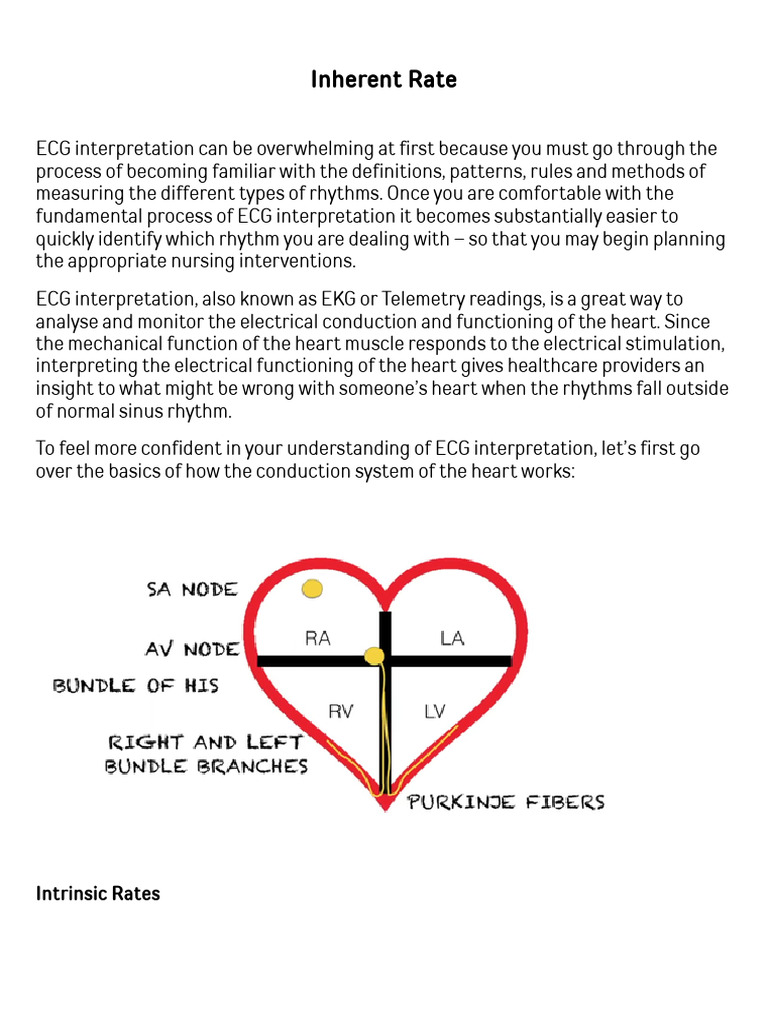 EKG Conduction System of The Heart | PDF | Electrocardiography | Atrium ...