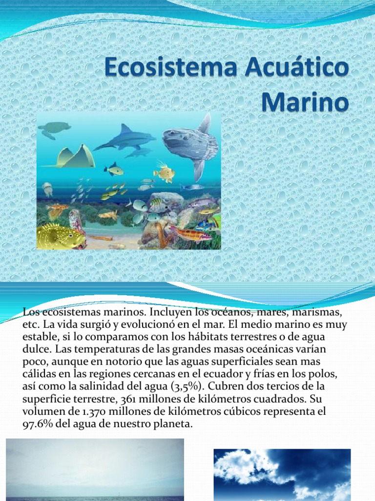 Ecosistema Acuático Marino | PDF | Ecologia Acuatica | Oceanografía