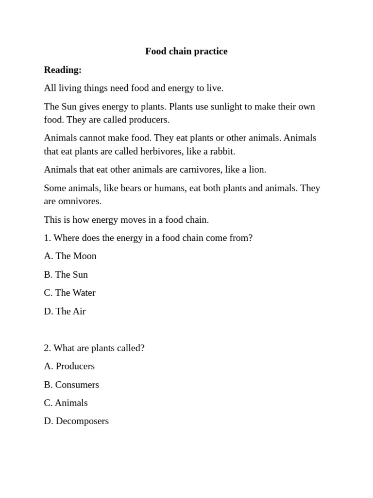 Food Chain Practice | PDF