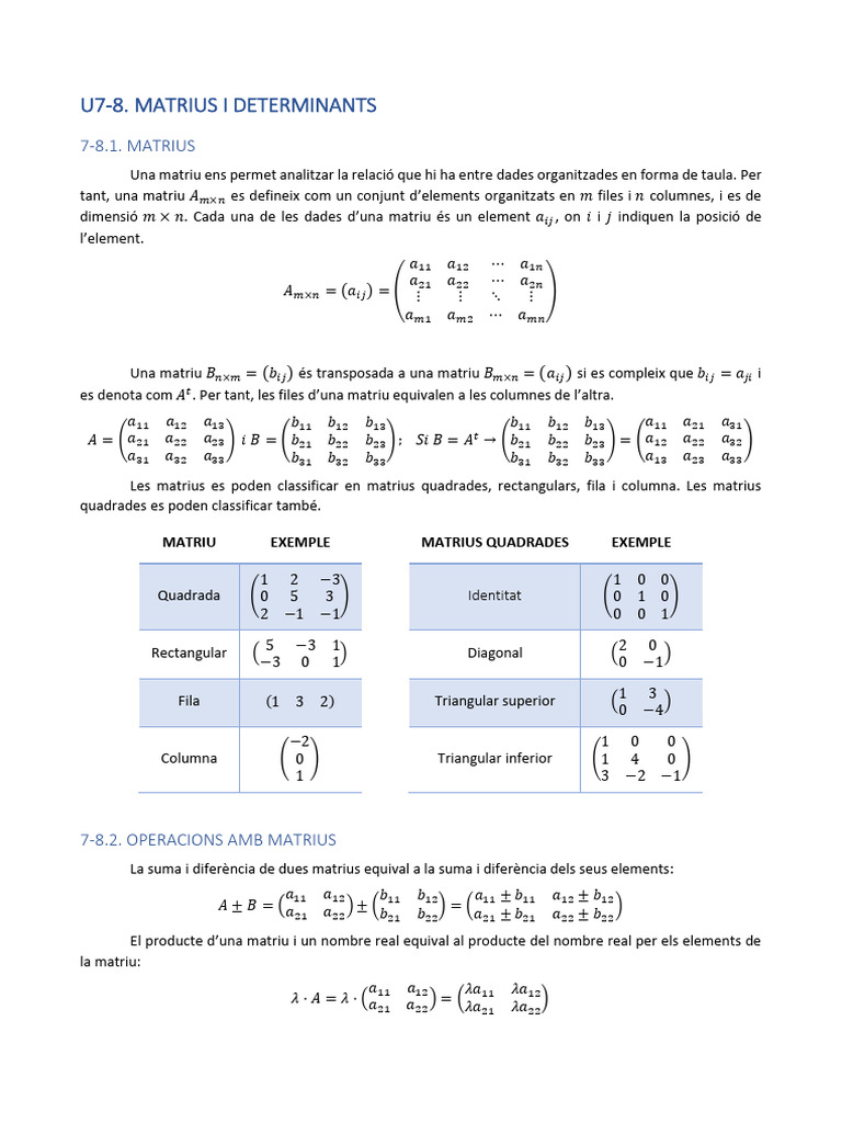 DOSSIER 2 BATX CT 07-08 Matrius i Determinants | PDF