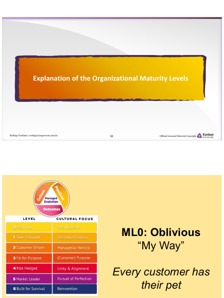 Slides - Maturity Level Overview | PDF | Economies | Business