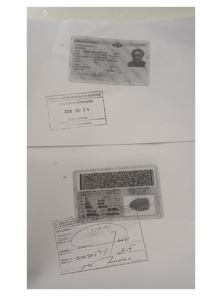 Drivers License | PDF