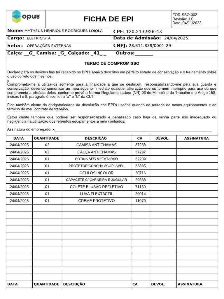 Ficha de EPI - Modelo | PDF