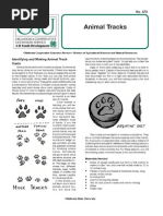 A Long-Term Survival Guide - How To Make Den Traps | PDF | Trapping ...