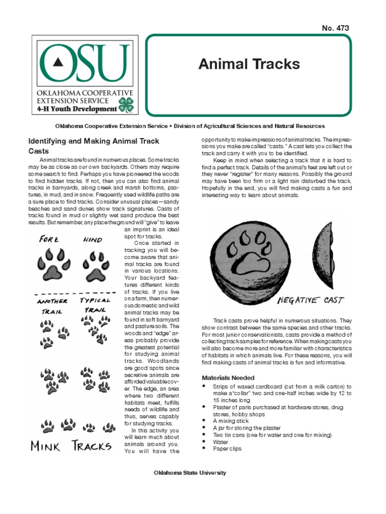 Animal Tracks | PDF | Trail | Title Ix