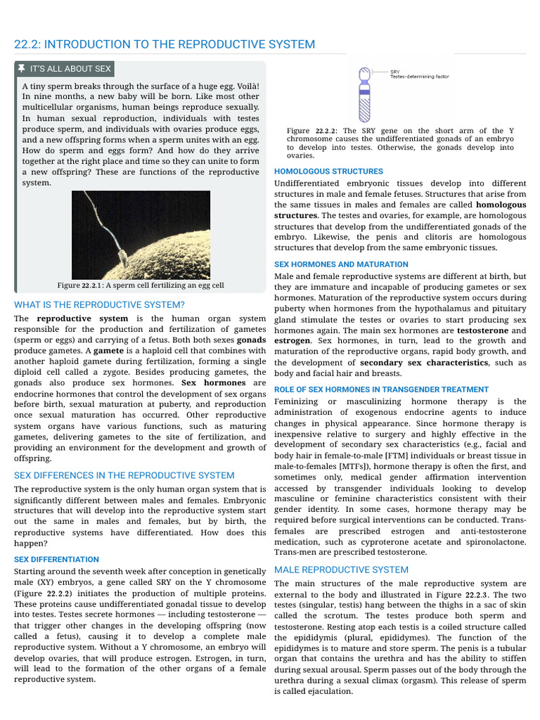 22.2 Introduction to the Reproductive System - Biology LibreTexts ...