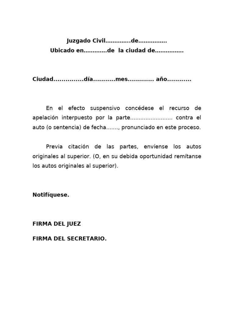 Auto Concede Recurso Apelación | PDF