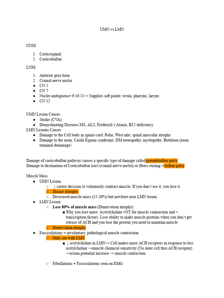Ninja Nerd_ UMN vs LMN.docx | PDF | Motor Neuron | Diseases And Disorders