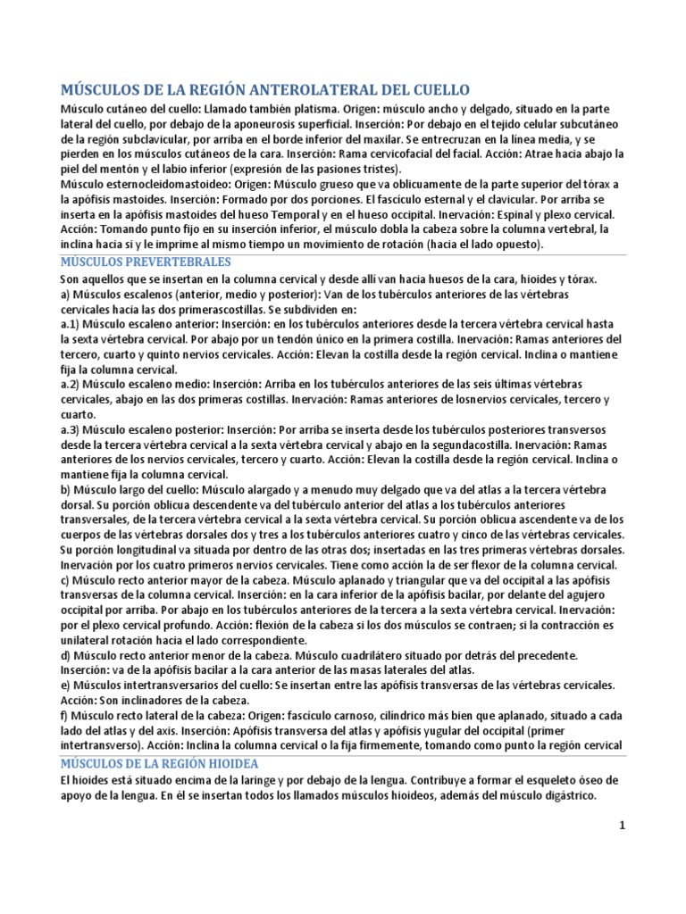 Músculos de La Región Anterolateral Del Cuello | PDF | La columna ...