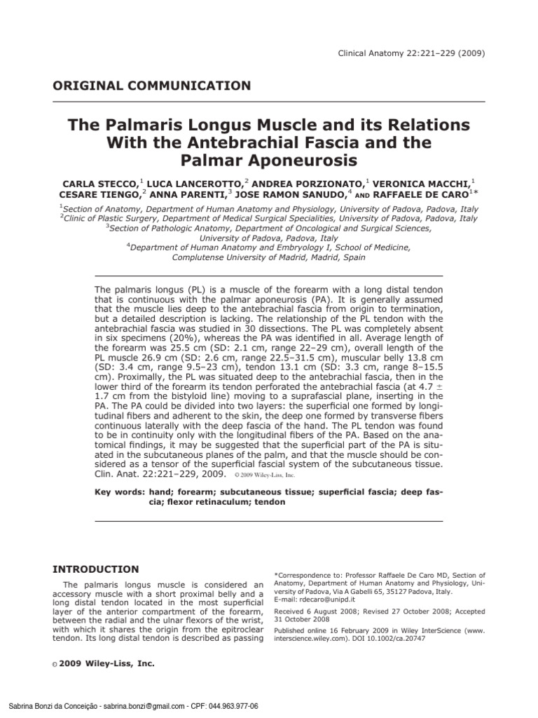 Clinical Anatomy - 2009 - Stecco - The Palmaris Longus Muscle and Its ...