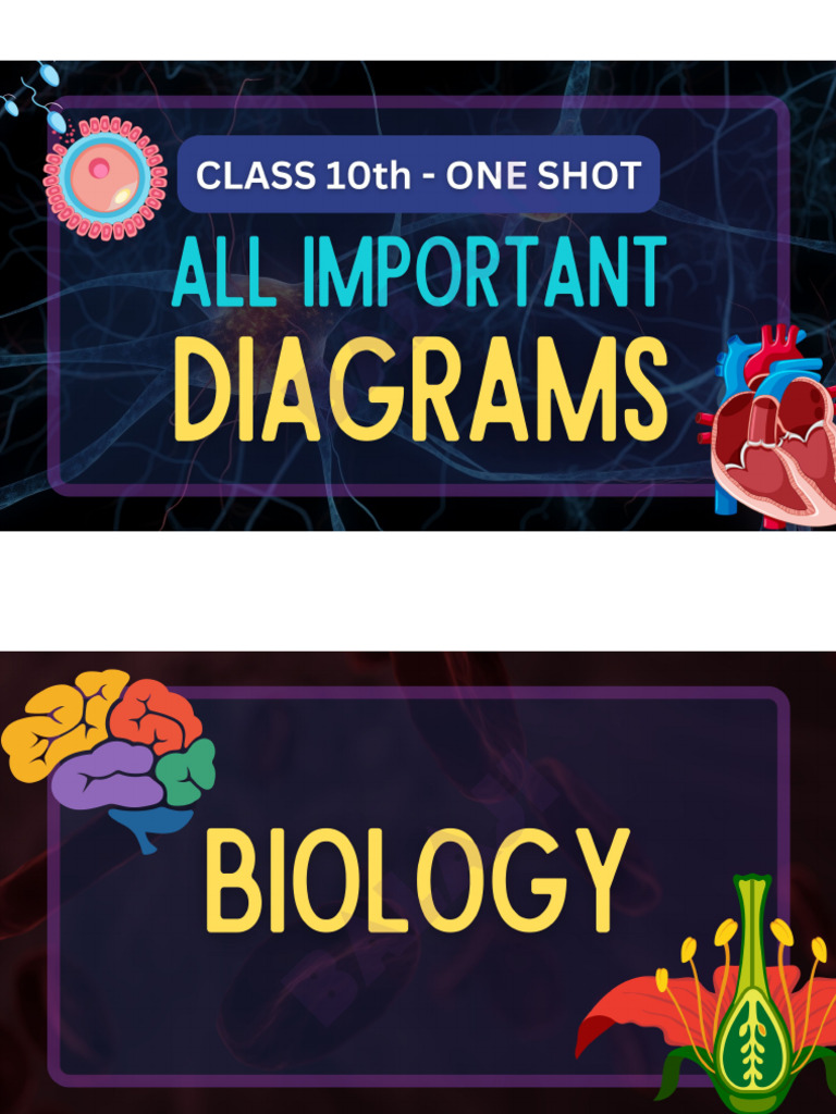 Science Diagrams | PDF
